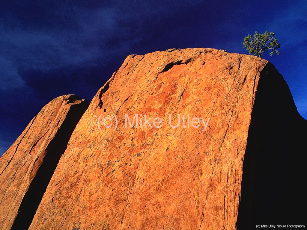 “Split Rock & Pinyon Pine” – Silent Pariah