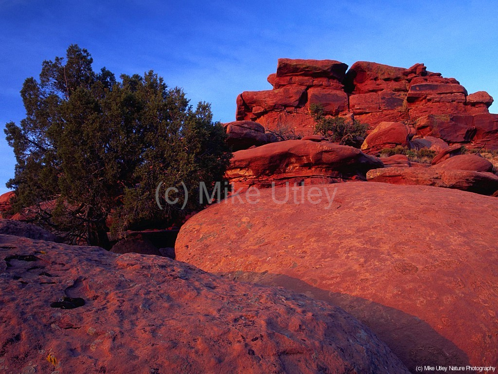 “Tree & Boulders at Sunset” – Silent Pariah