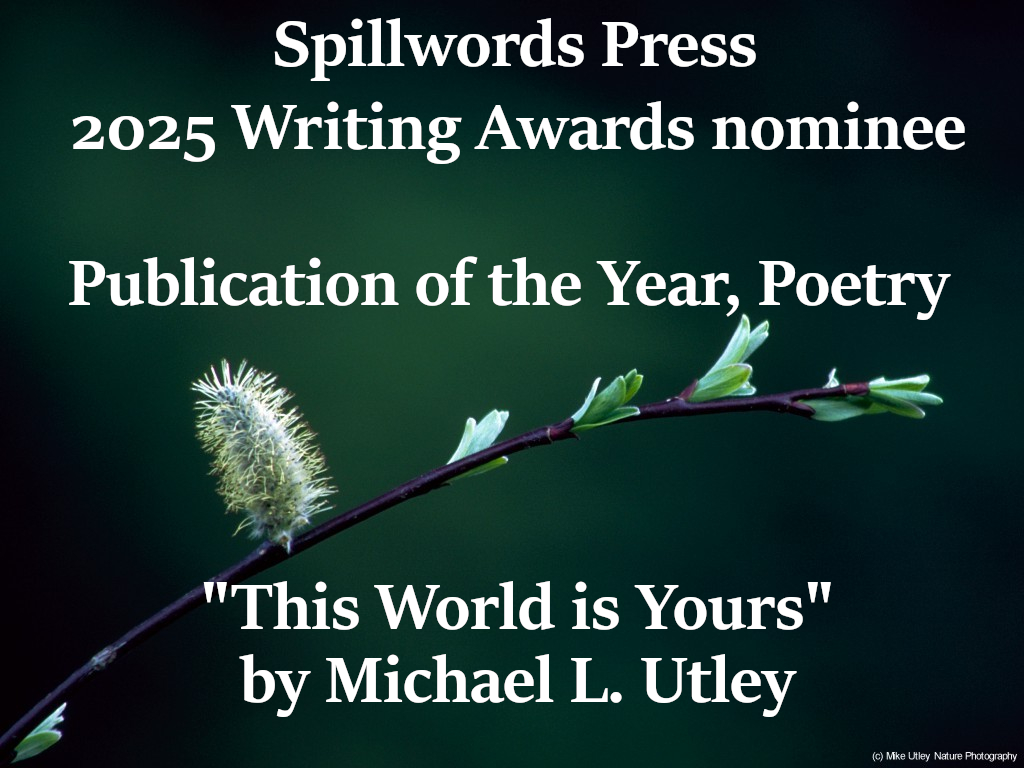 My poem “This World is Yours” nominated for Poetic Publication of the ...